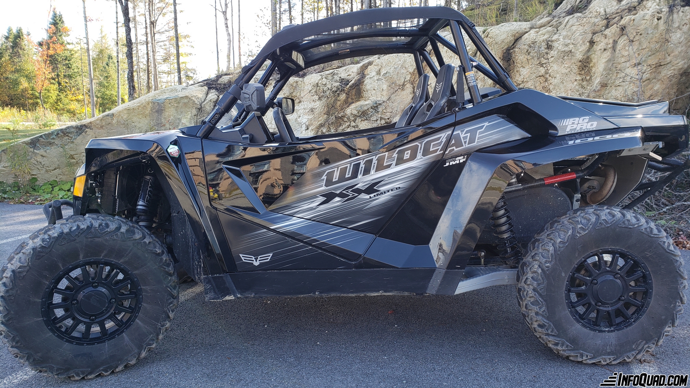 WildCat XX LTD - Un félin facile à apprivoiser - Magazine InfoQuad.com