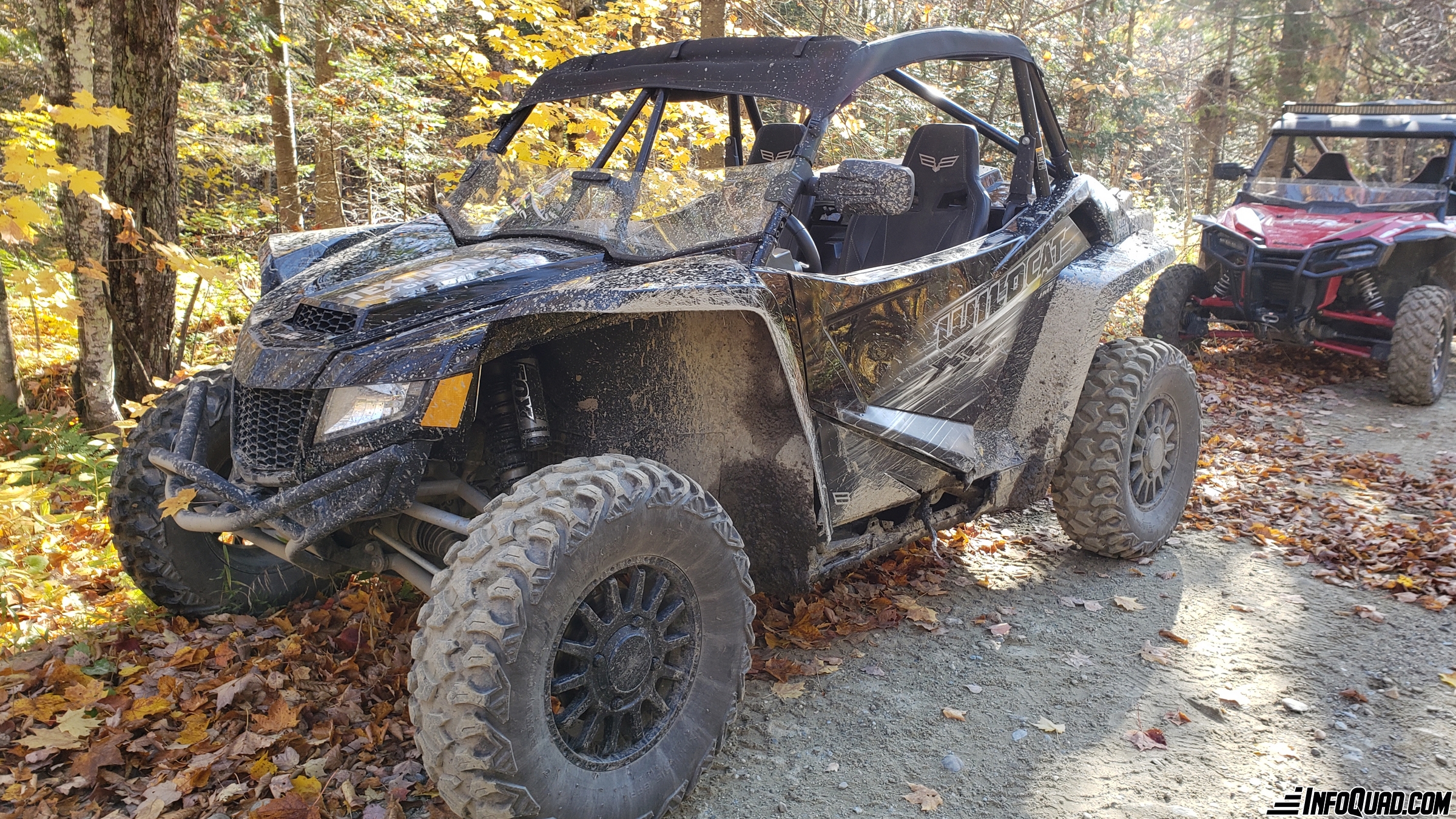 WildCat XX LTD - Un félin facile à apprivoiser - Magazine InfoQuad.com