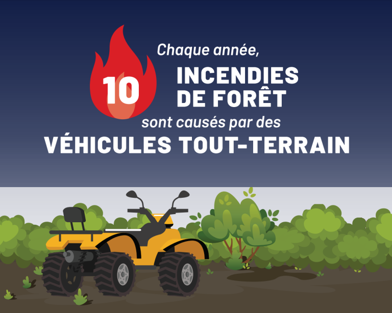 Preventing Forest Fires - Magazine InfoQuad.com